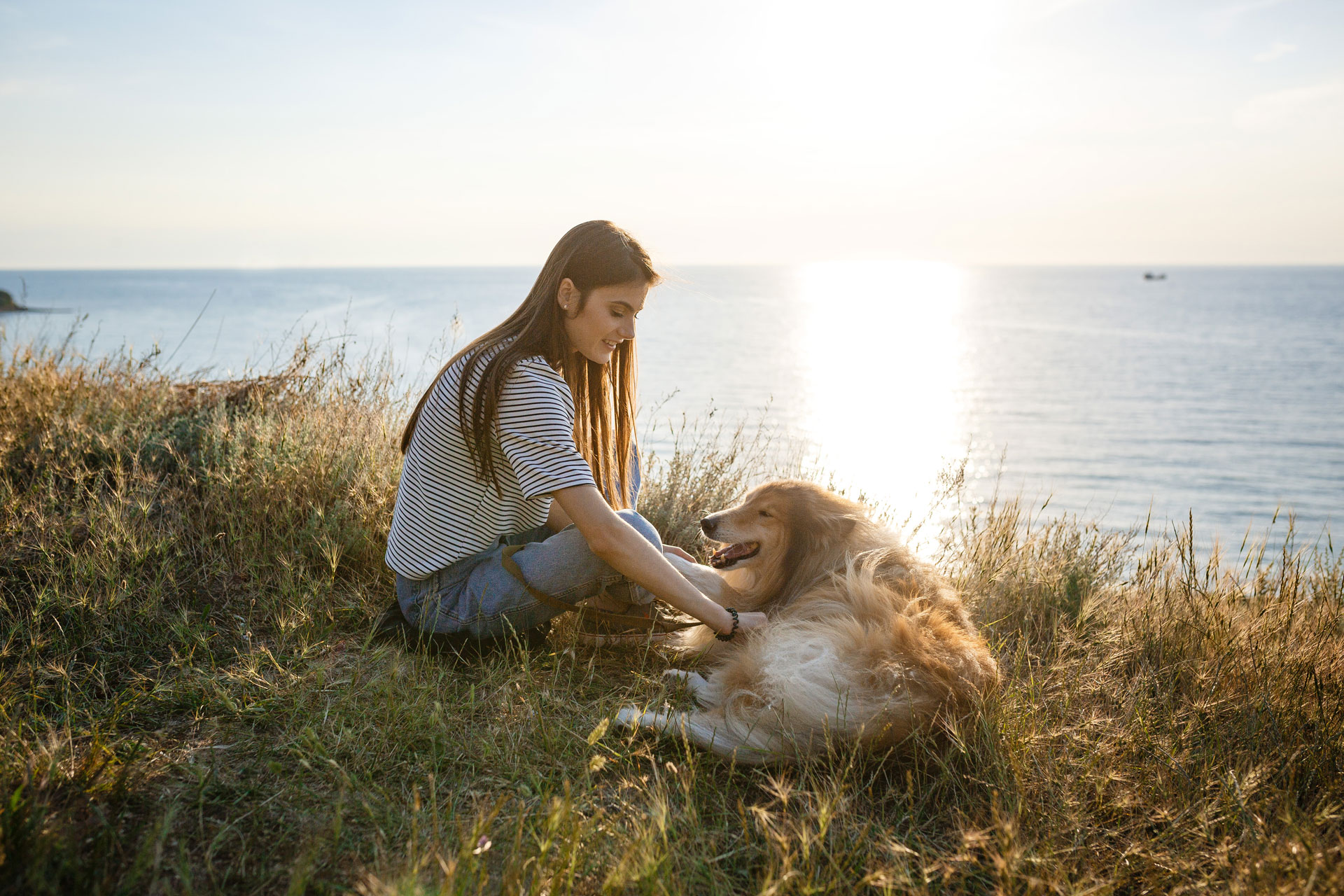 Veterinarian in Brea | Vets Near Me | Aloha Veterinary Hospital