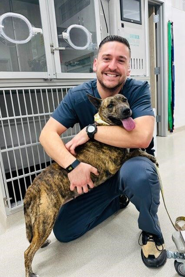 Our Ohana Team - Vet in Brea | Aloha Veterinary Hospital