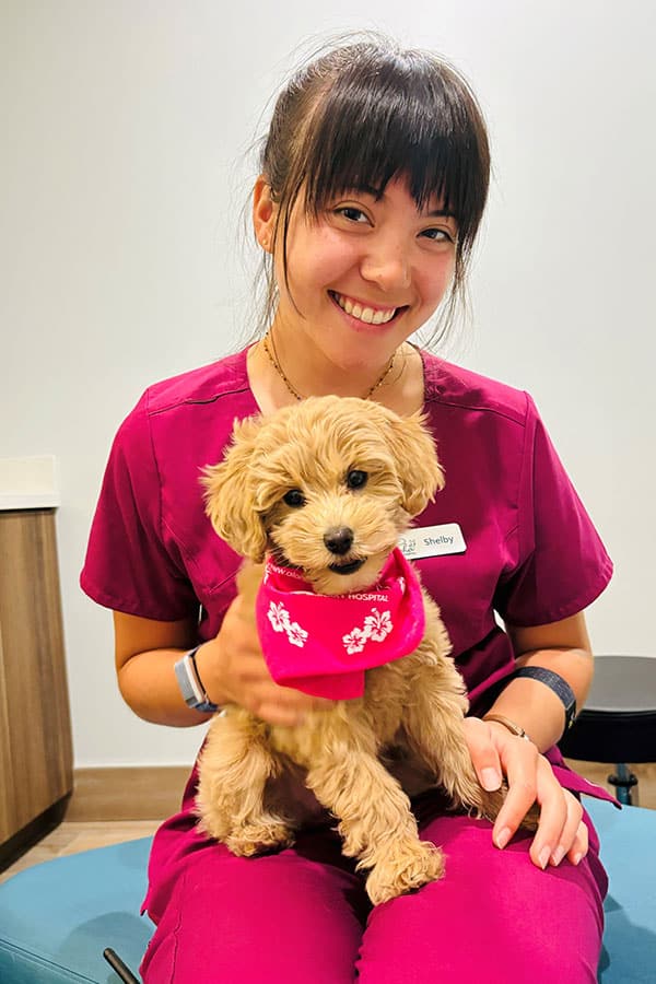 Our Ohana Team - Vet in Brea | Aloha Veterinary Hospital